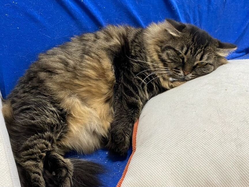 Не ждет