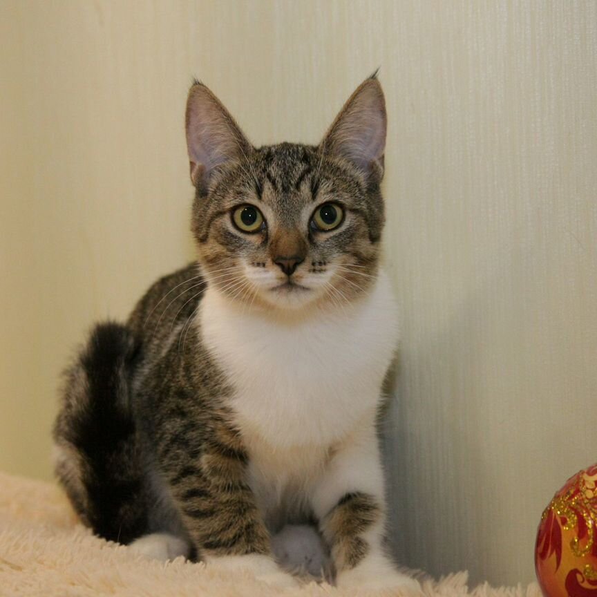 Любознательная Машенька 5 месяцев