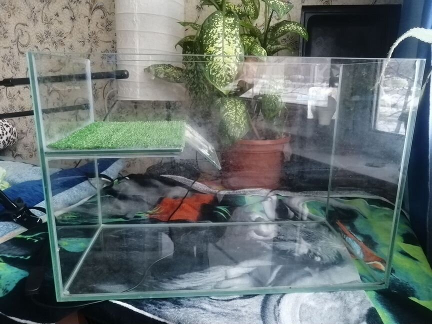 Аквариум для черепах