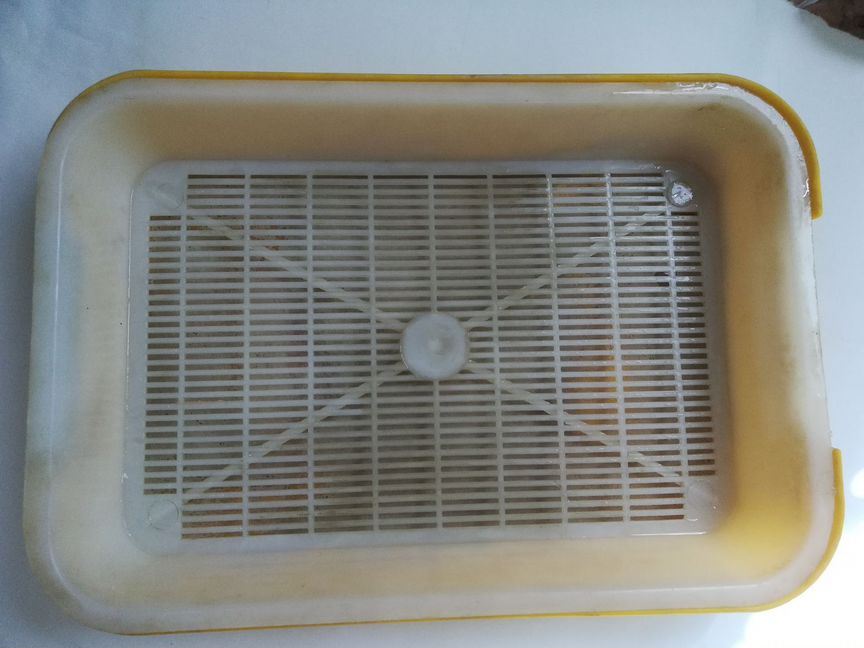 Лоток для кошек