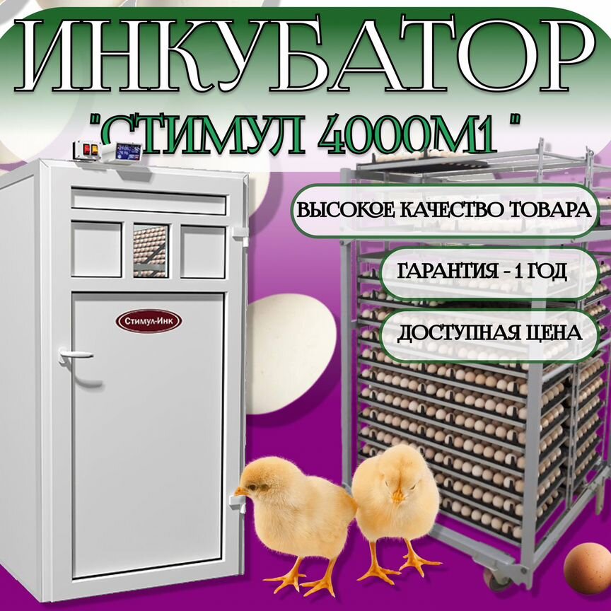 Инкубатор для яиц автоматический стимул-4000М1П