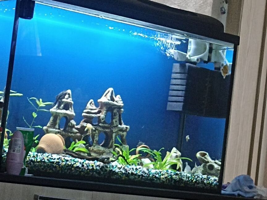 Аквариум с рыбками 140 литров