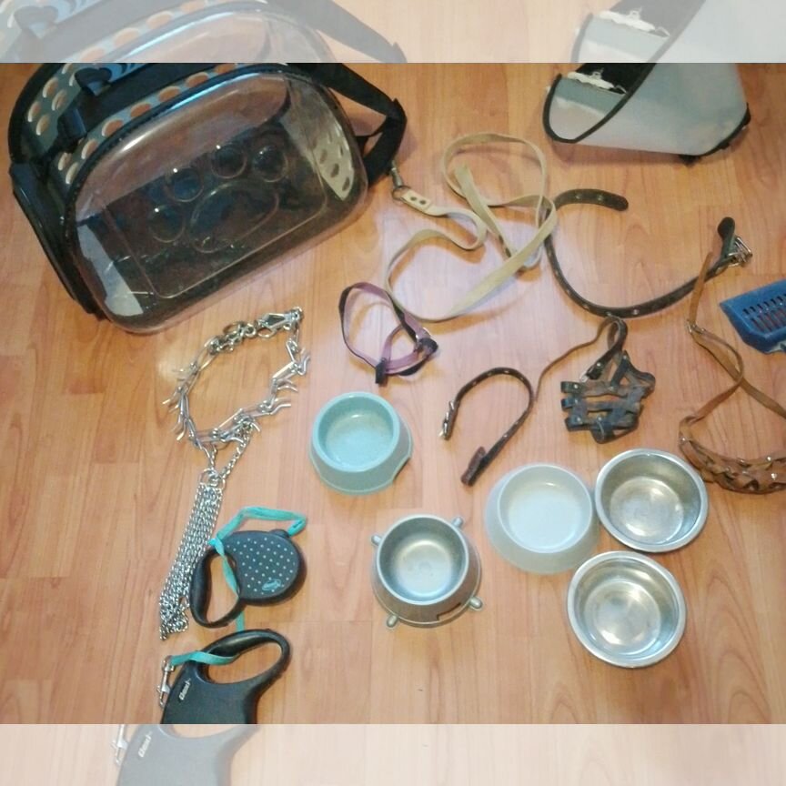 Товары для животных