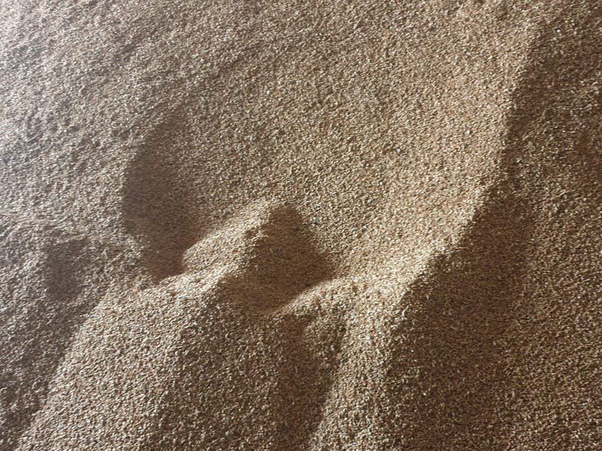 Пшеница дробленая