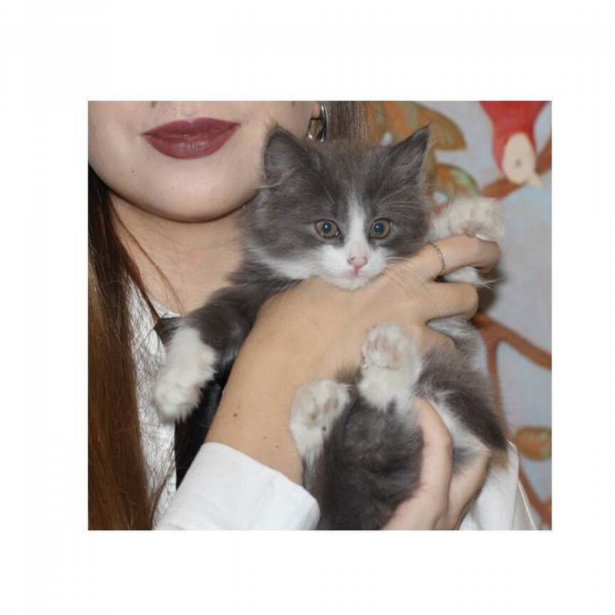 Малышка 2 месяца