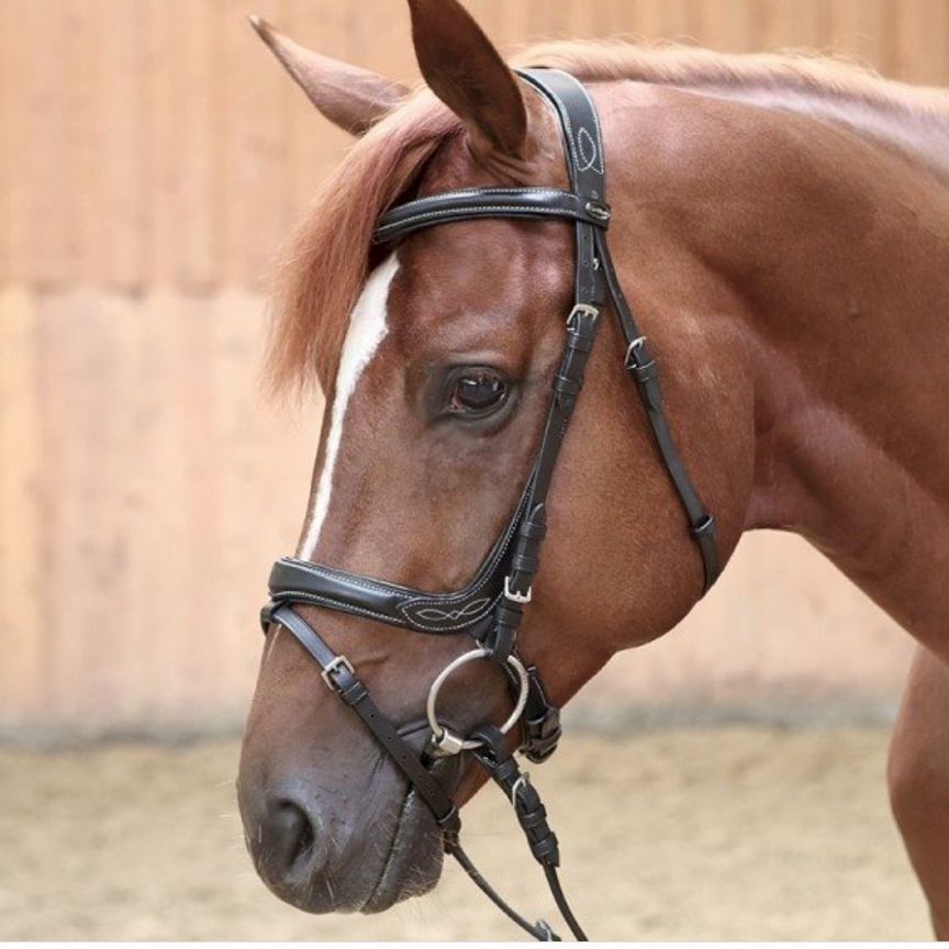 Уздечка для лошади