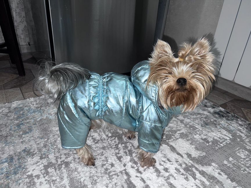 Одежда для собак мелких пород комбинезон зимний