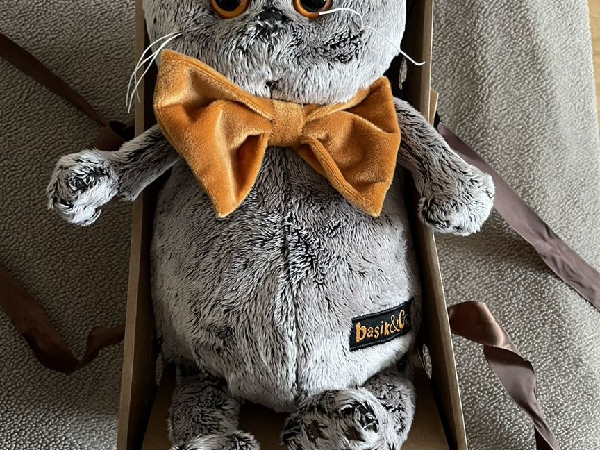 Кот басик basik