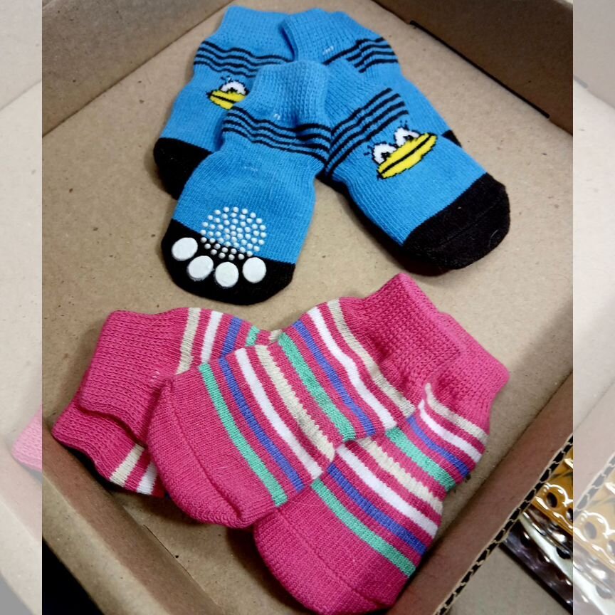 Носки для мелких собак