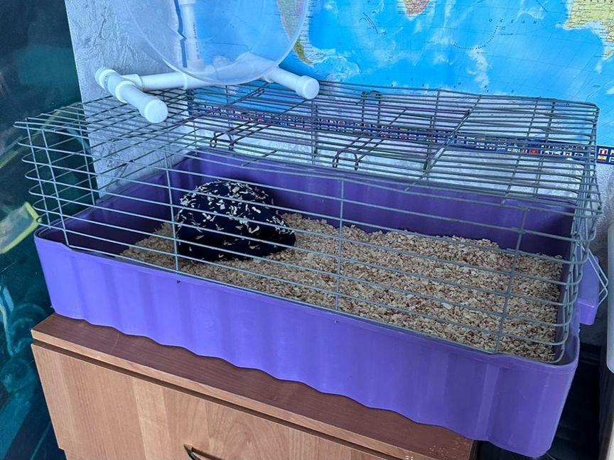 Клетка большая