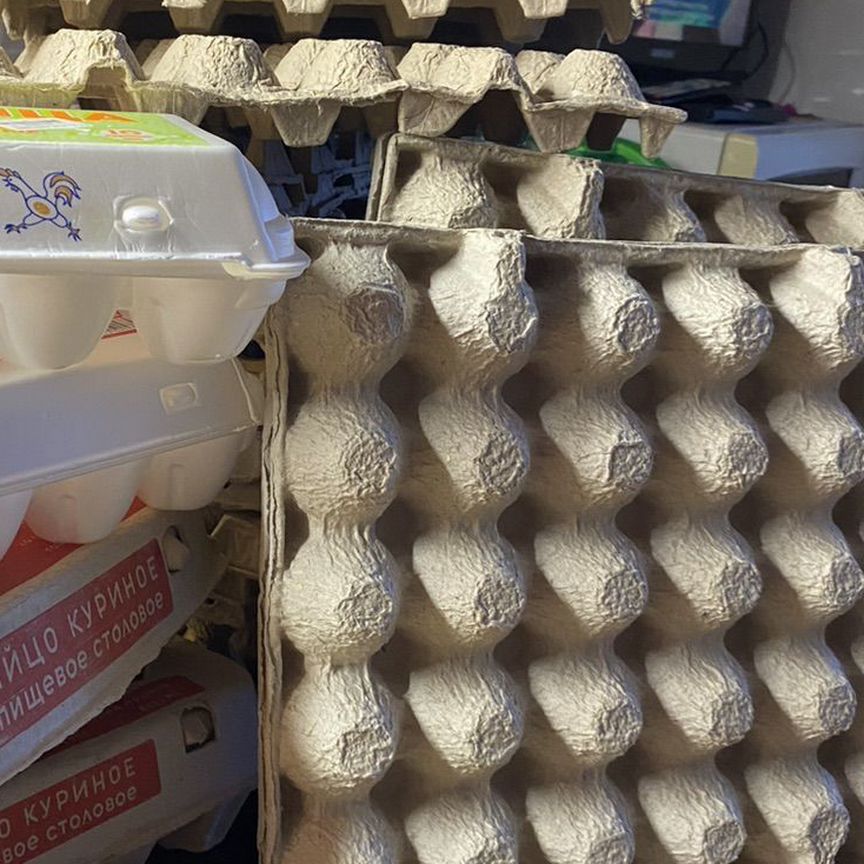 Яичные лотки