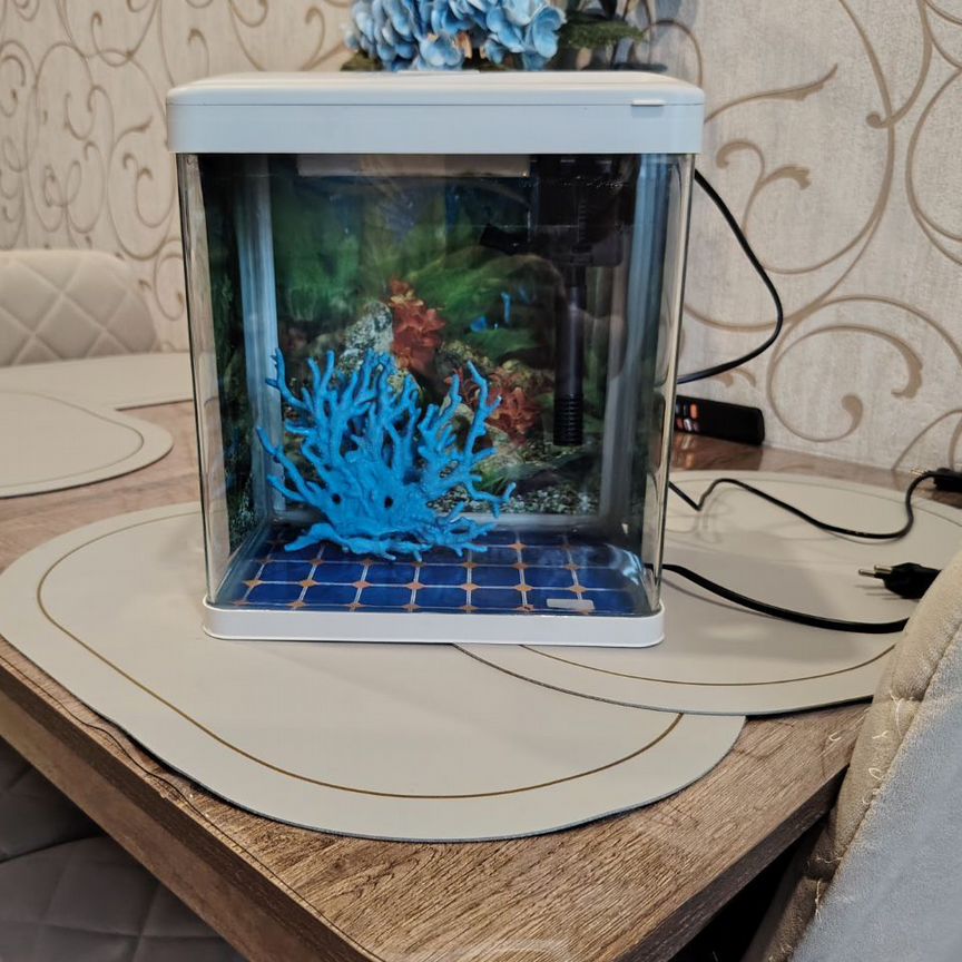 Аквариум для рыбок с крышкой