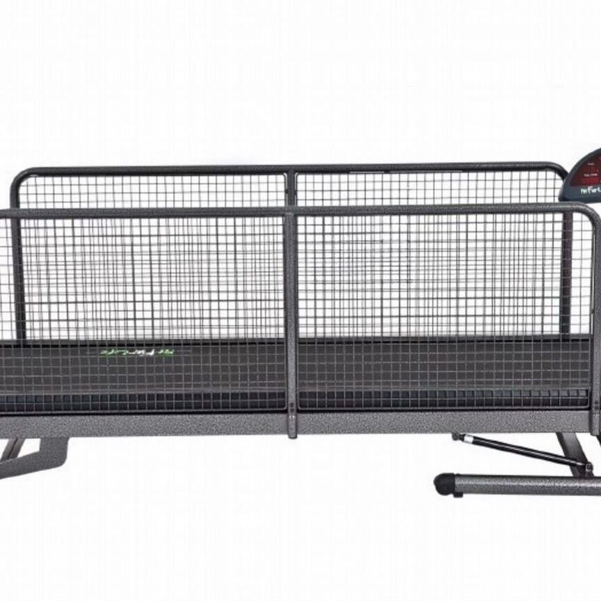 Беговая дорожка для собак