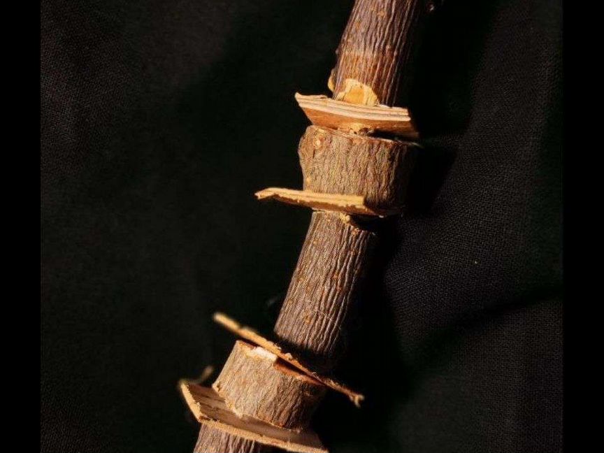 Игрушка для птиц