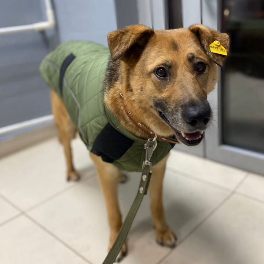 Ева, чудесная девочка. 4 года