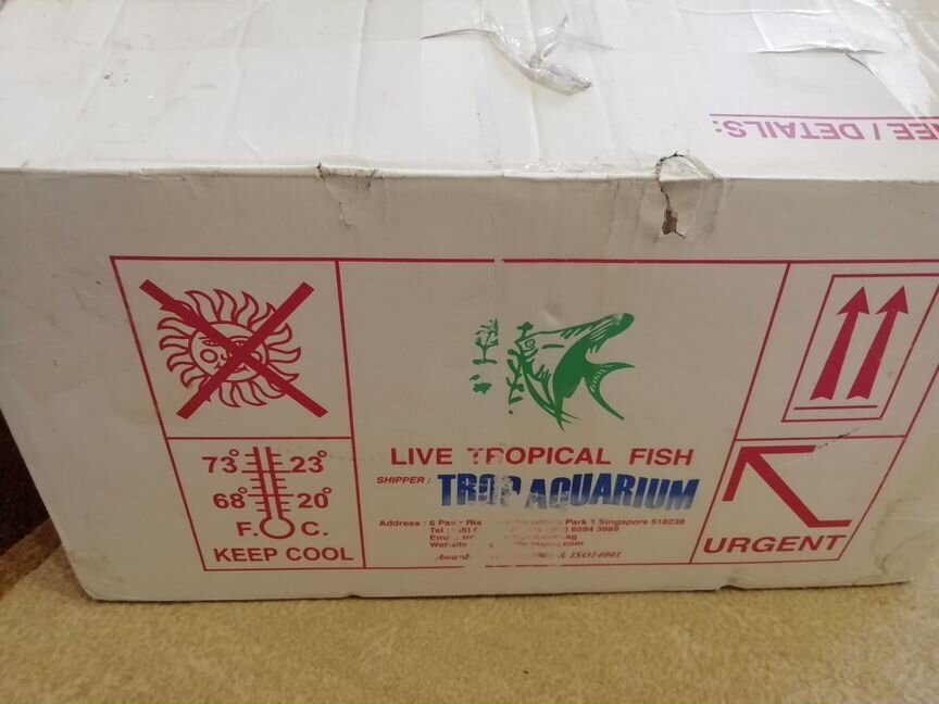 Термокоробка для перевозки и хранения