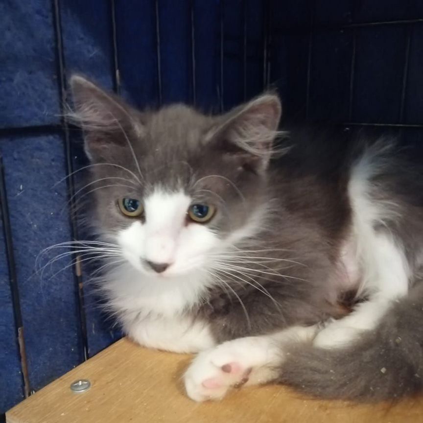 Малышка заждалась