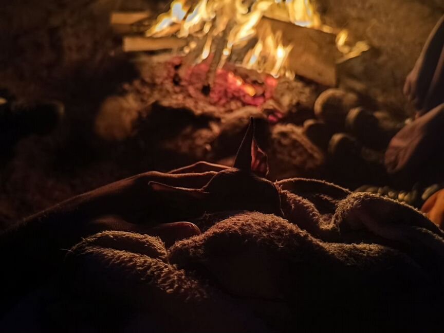 Канадский сфинкс котенок