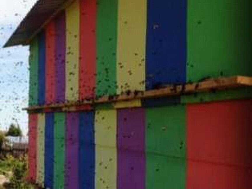 Пчелопавельон