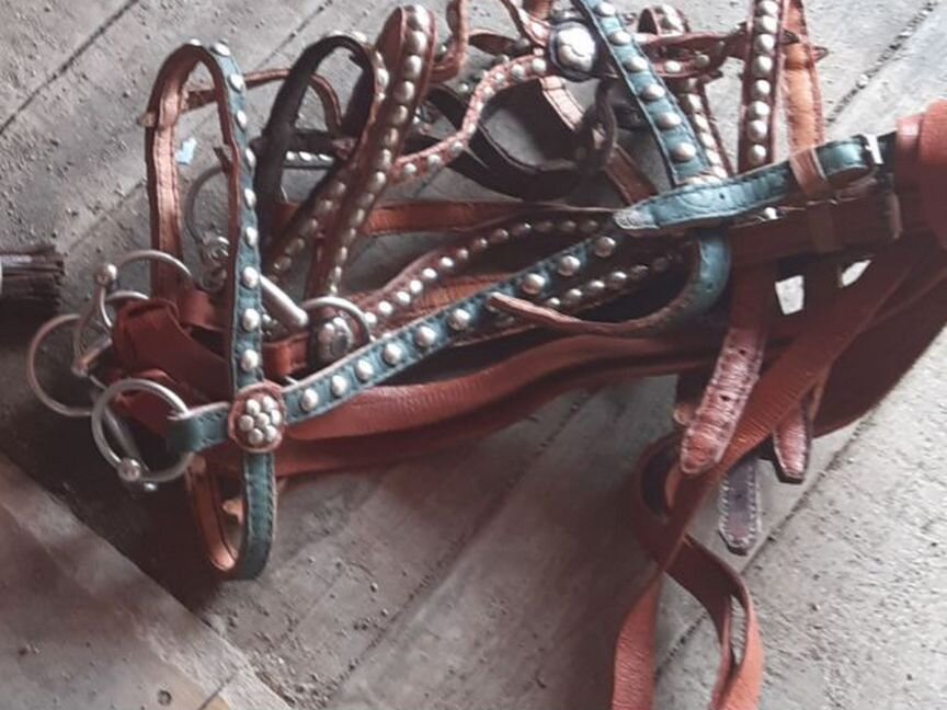Уздечка для лошади
