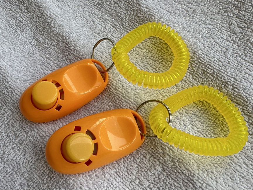 Кликер для дрессировки собак