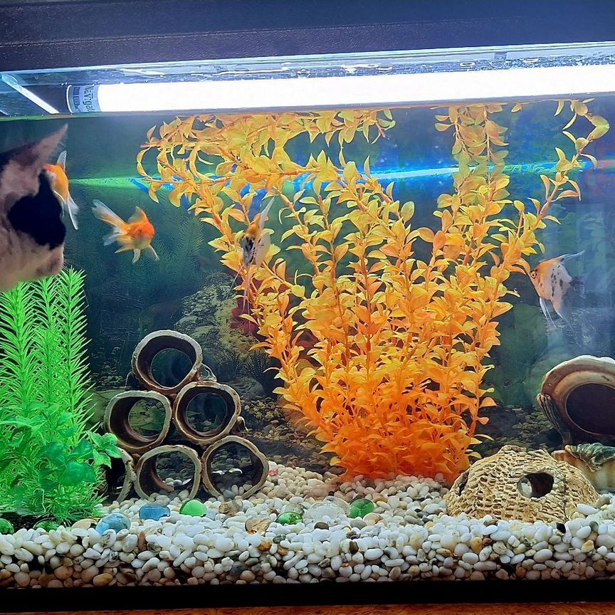 Украшение для аквариума