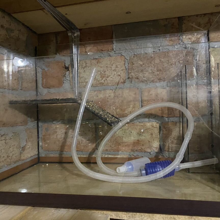 Аквариум для черепах и рыб