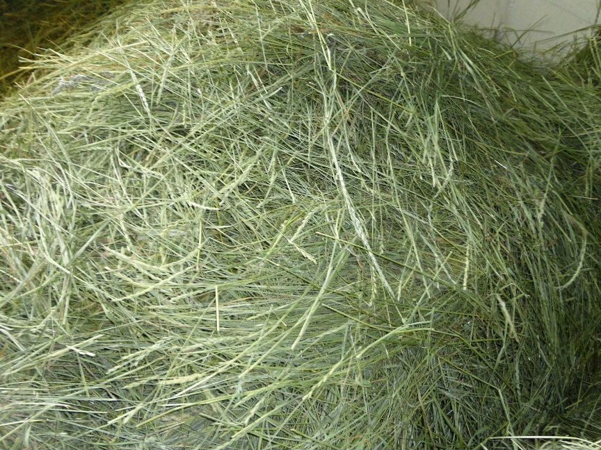 Сено в мешках