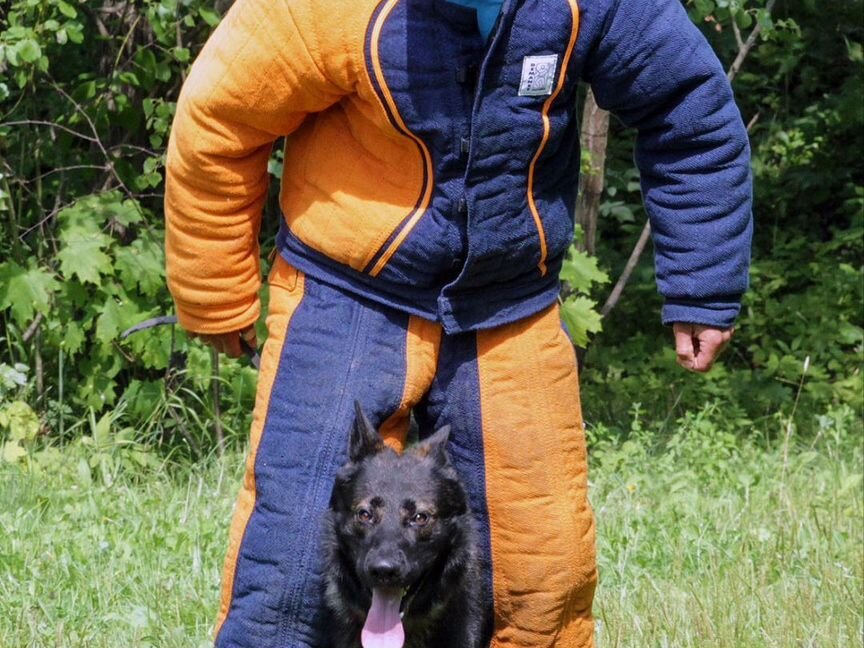 Щенки Немецкой Овчарки