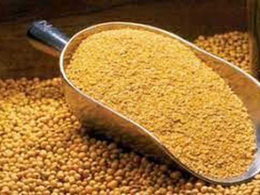 Соевый шрот