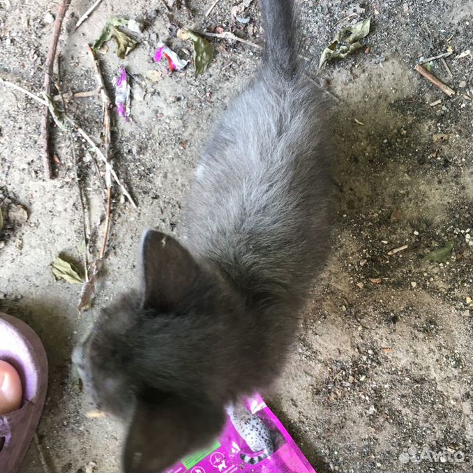 В добрые руи