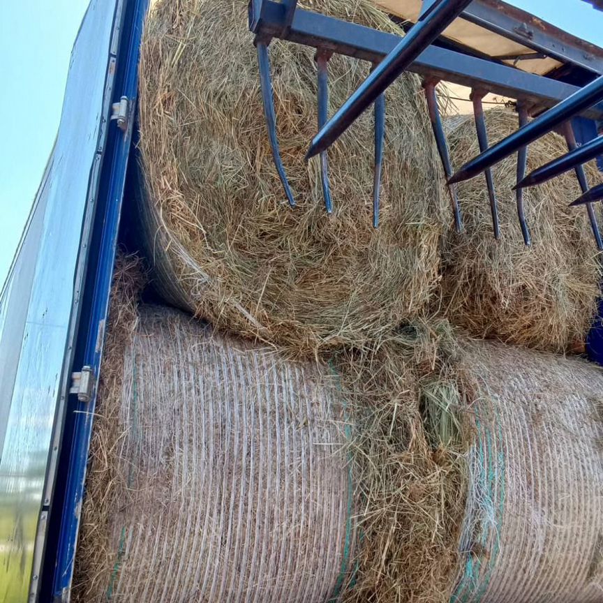 Сено в рулонах 250кг оптом 2024