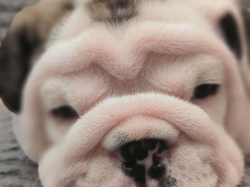 Малыши карандаши