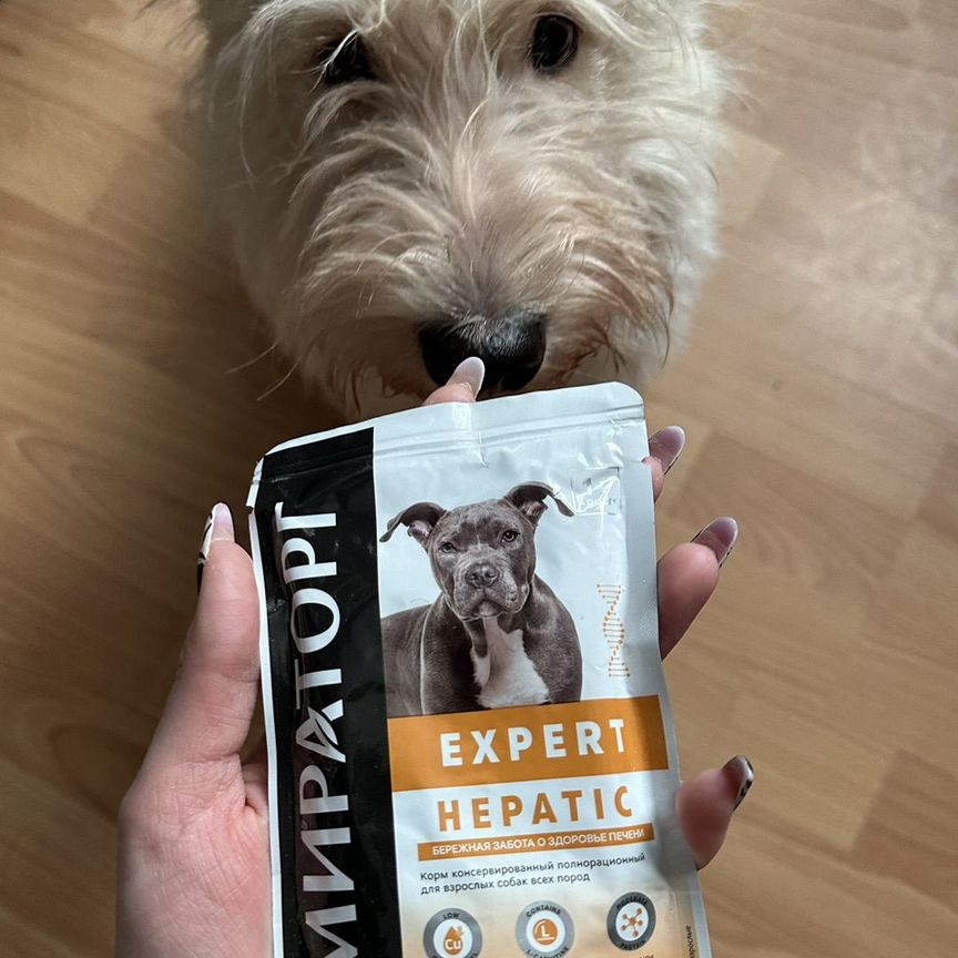 Влажный корм мираторг expert heratic 85г