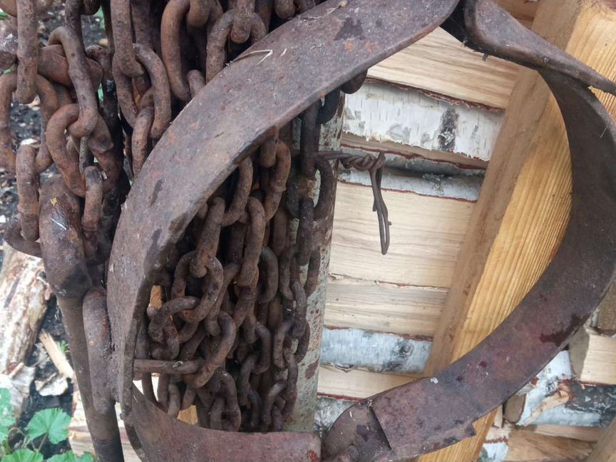 Цепь с хомутом для крс