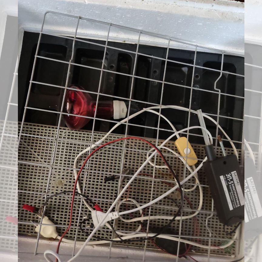 Инкубатор для яиц автоматический переворот