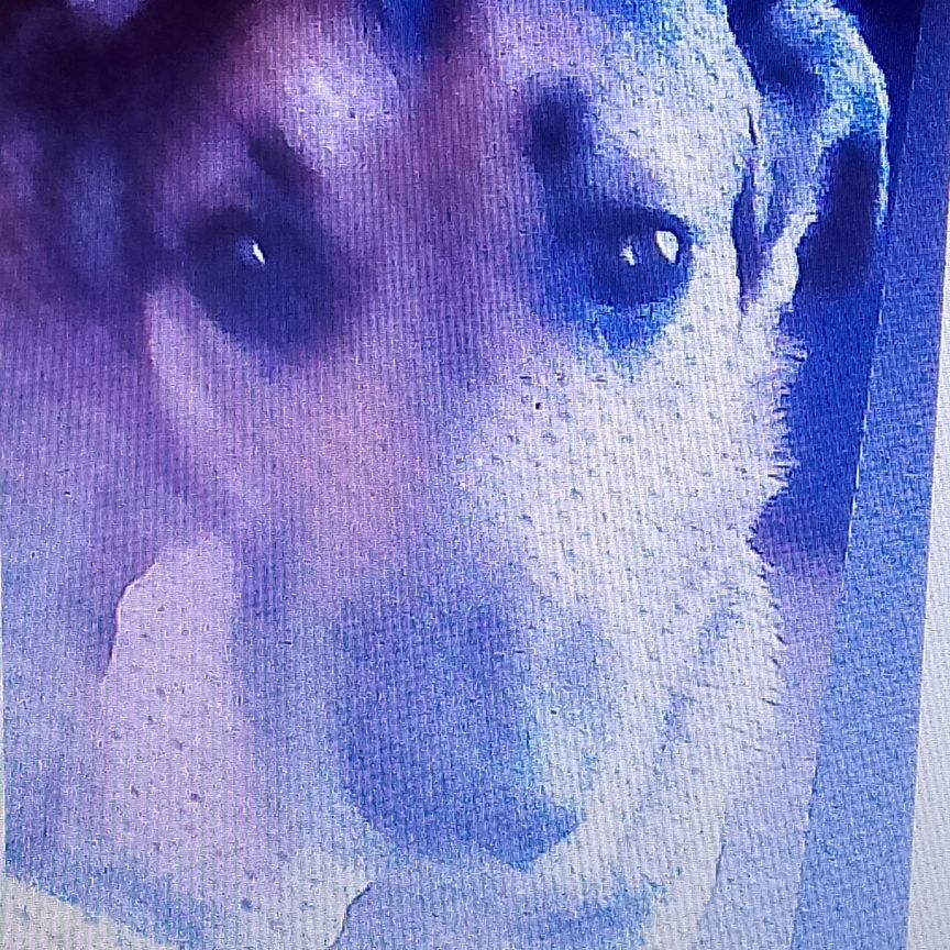 Отдам в хорошие руки отличного пса