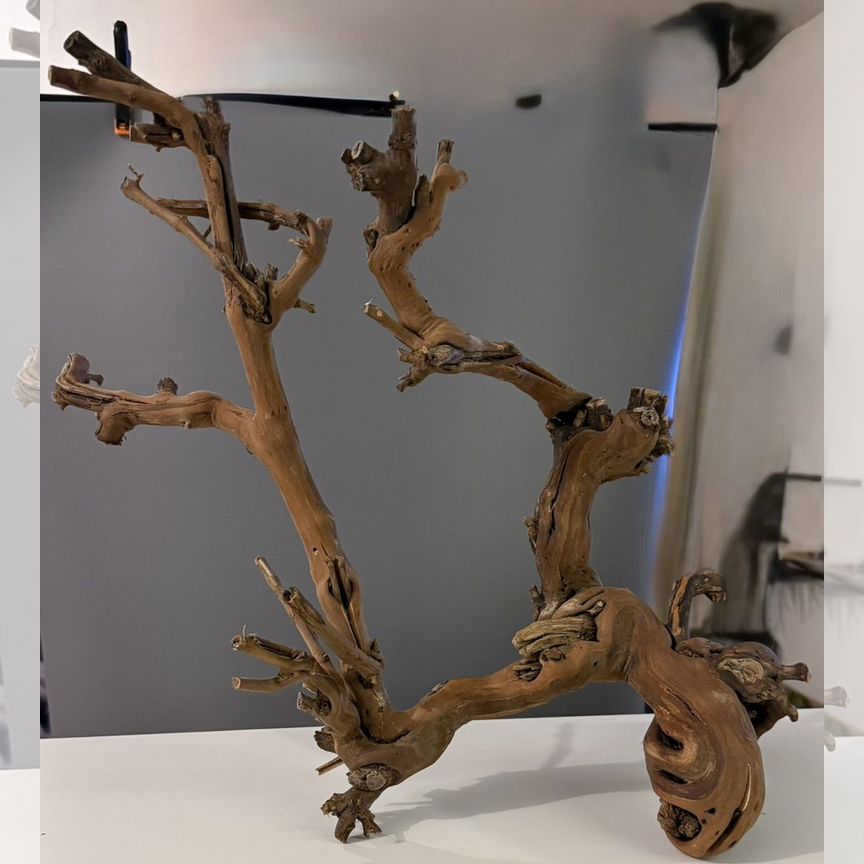 Коряга для декора, аквариума, террариума и другого