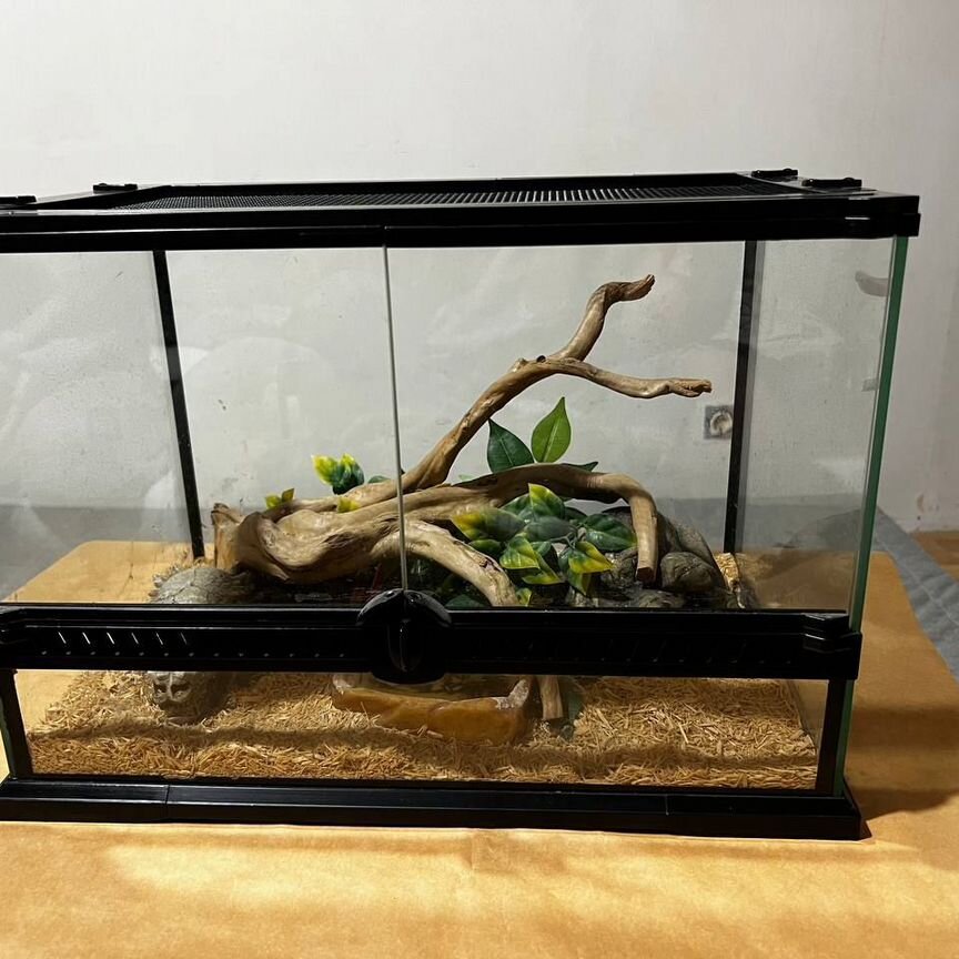 Террариум для рептилий 45х30х30
