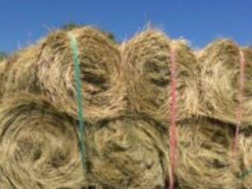 Сено из Ахтубы