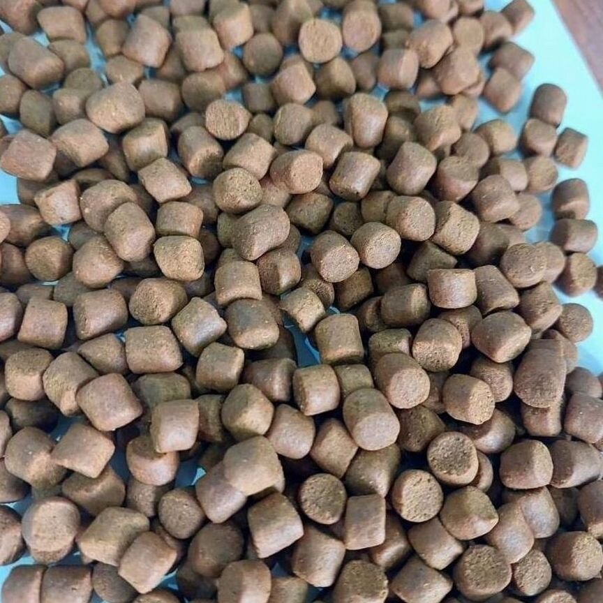 Корм для прудовой рыбы