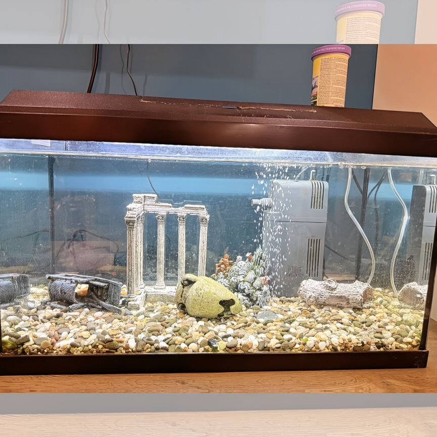 Аквариум 54 литра juwel aquarium