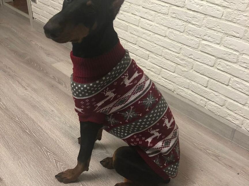 Свитер для собак (средних и крупных пород)