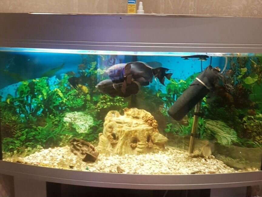 Аквариум с тумбой 130 литров