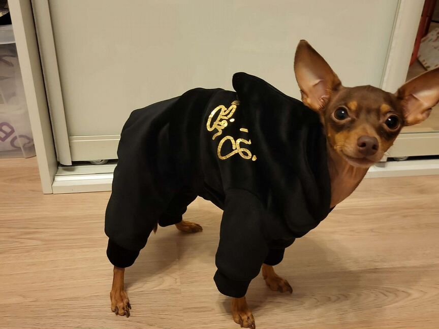 Комбинезон для собаки