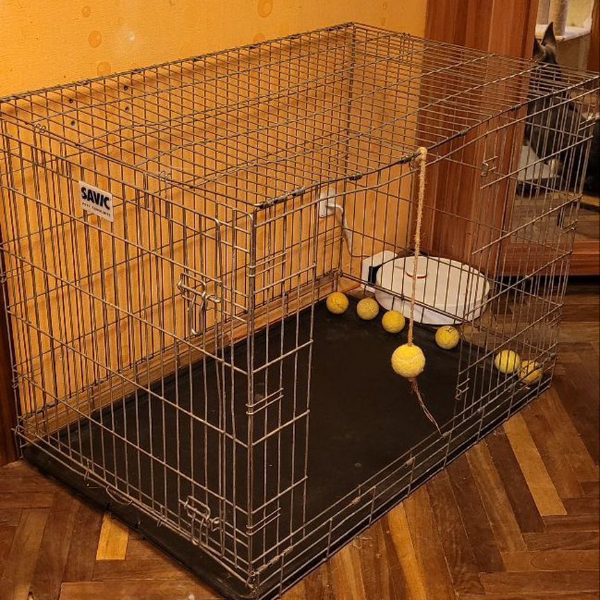 Клетка Savic для большой собаки бу