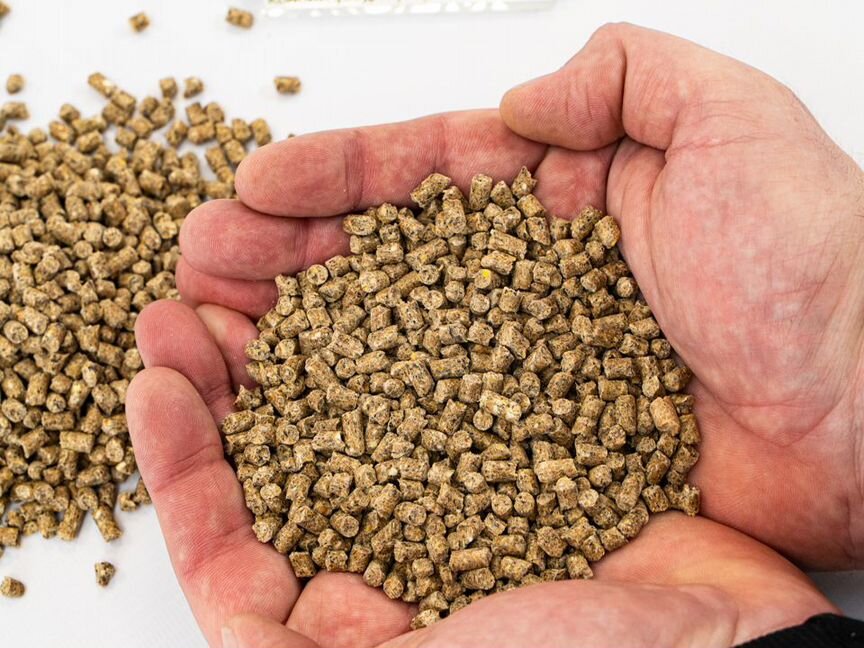 Комбикорм, бвмд, зерносмеси