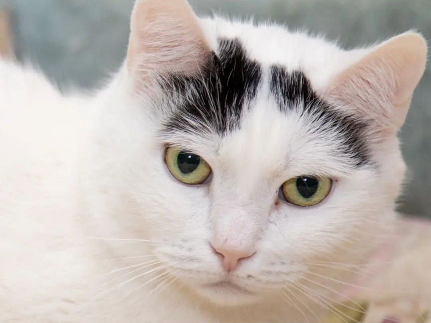 Простите, а можно с Вами познакомиться