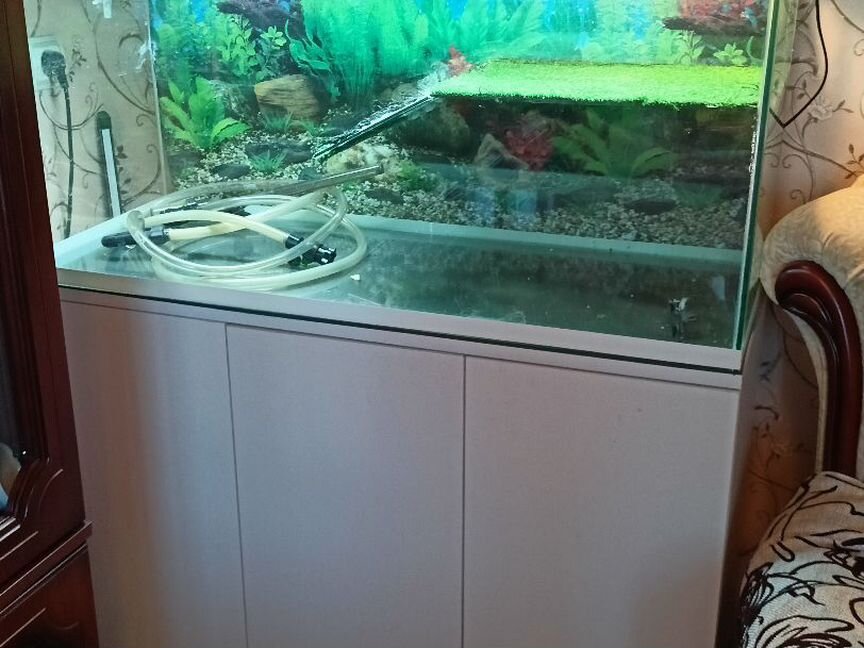 Террариум для красноухой черепахи