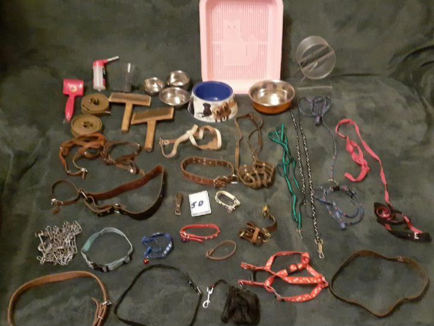 Аксессуары для животных